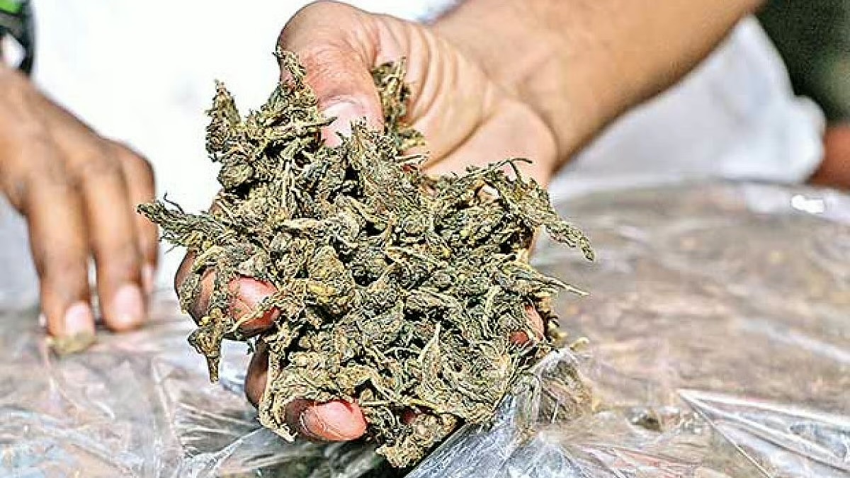Ganja Worth ₹3.7 Lakh Seized; Five Arrested in Twin NDPS Cases ...